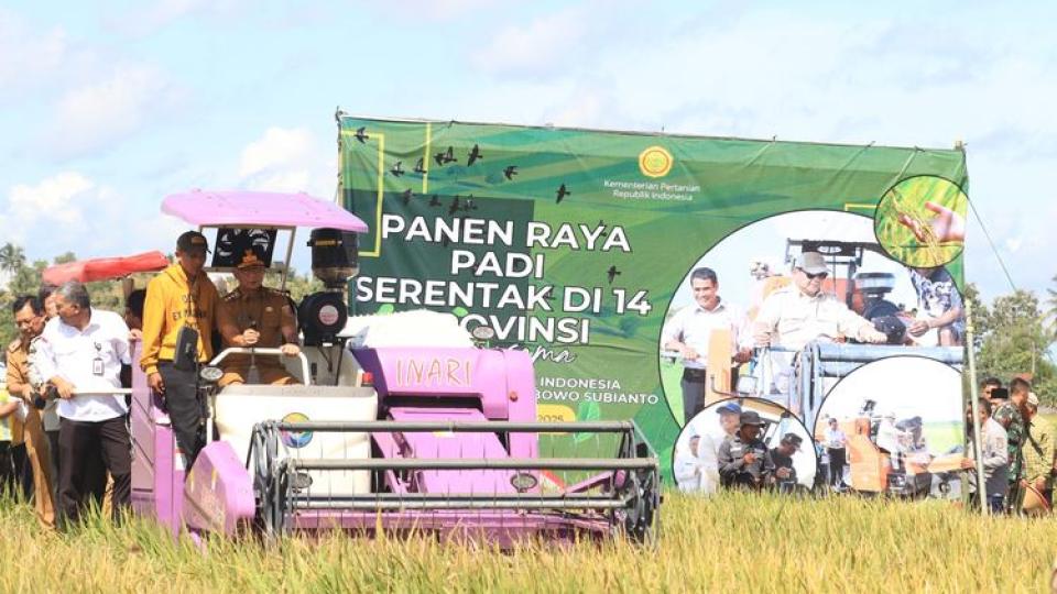 Kawal Panen Raya, Gubernur Lampung Minta Bulog Maksimalkan Penyerapan Gabah